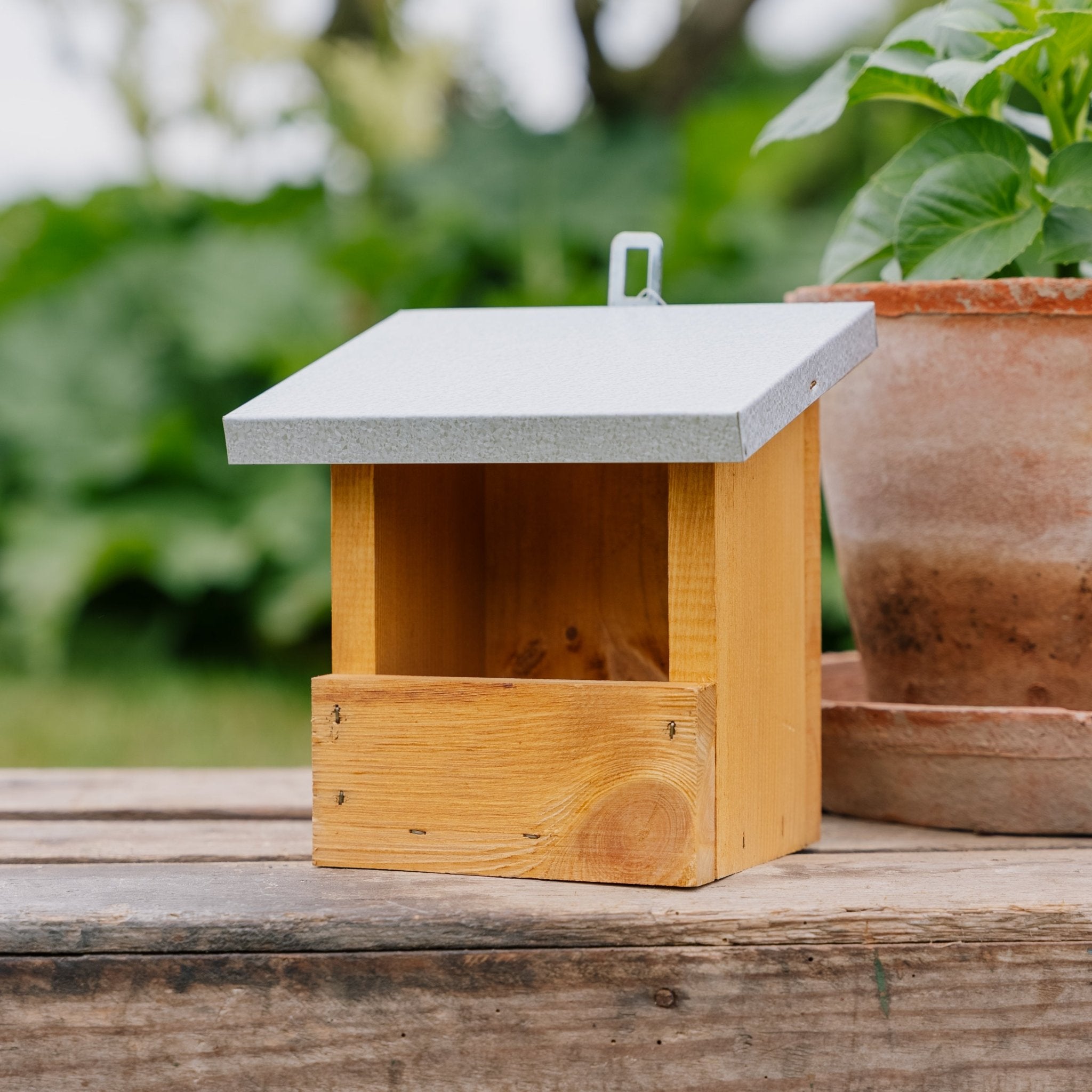 Foderhus, Robin – rustikt fyrretræ